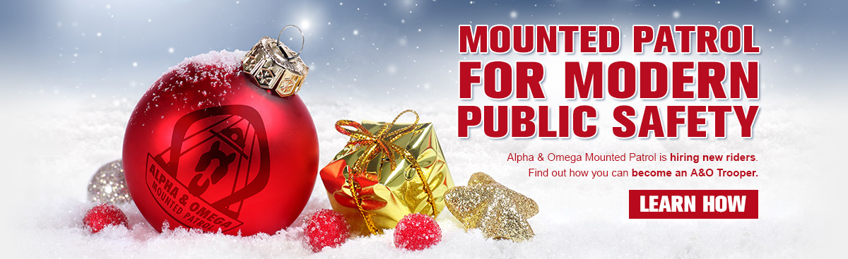 Home - Mounted PatrolMounted Patrol | Safety You Can See